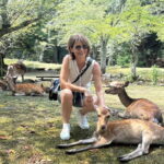 Hiroshima: Miyajima Island Half-Day Tour with Guide - Navigating the Miyajima Experience