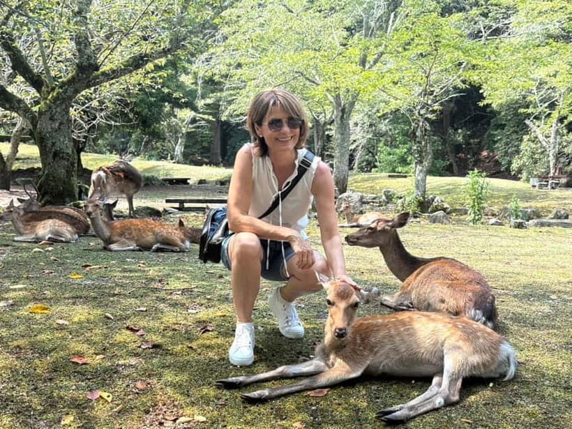 Hiroshima: Miyajima Island Half-Day Tour with Guide - Navigating the Miyajima Experience