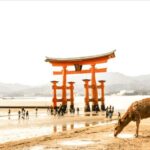 Hiroshima & Miyajima tour with English/Spanish Speaker Guide - Discovering Miyajima’s Icons