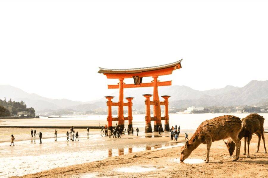 Hiroshima & Miyajima tour with English/Spanish Speaker Guide - Discovering Miyajima’s Icons