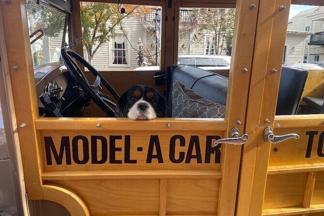 Historic Fredericksburg Tours in a Fully Restored Model A Car - Why This Experience Offers Value