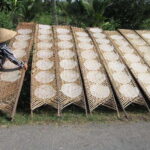 Ho Chi Minh City: Cai Rang Floating Market in Can Tho Tour - Analyzing the Value: Is It Worth It?