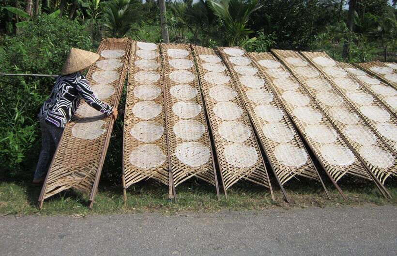Ho Chi Minh City: Cai Rang Floating Market in Can Tho Tour - Analyzing the Value: Is It Worth It?
