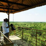 Ho Chi Minh City: Can Gio Eco Escape And Wildlife Discovery - The Transport and Timing: Why It Matters