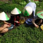 Ho Chi Minh City Full-Day Cooking Class with City Tour - Who Should Consider This Tour?