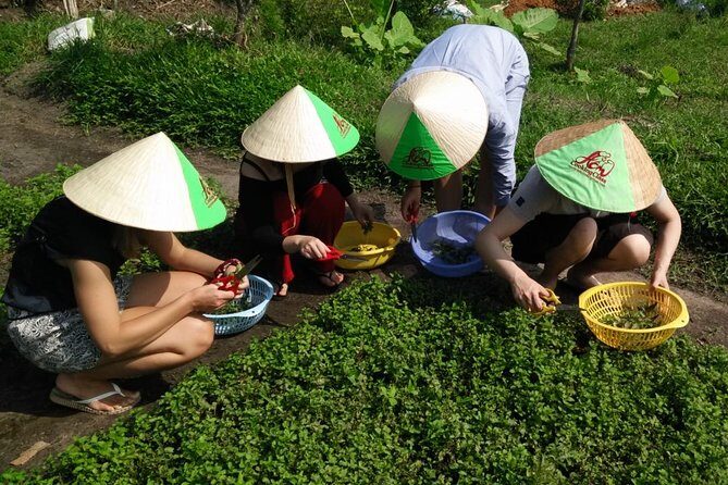 Ho Chi Minh City Full-Day Cooking Class with City Tour - Who Should Consider This Tour?