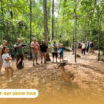 Ho Chi Minh City: Half-day Underground Secrets Of Cu Chi - Why This Tour Brings Value