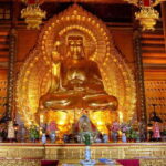 HOA LU - BAI DINH  TRANG AN  MUA CAVE FROM NINH BINH - Practical Insights for Planning Your Day