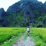 Hoa Lu Tam Coc Mua Cave Luxury 1 Day Group Tour From Hanoi - Why This Tour Is Worth Considering