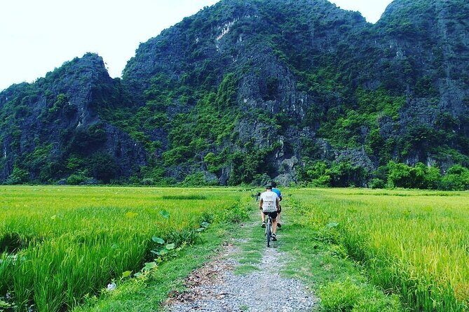 Hoa Lu Tam Coc Mua Cave Luxury 1 Day Group Tour From Hanoi - Why This Tour Is Worth Considering