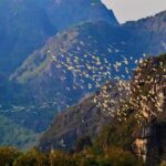 Hoa Lu - Van Long Nature Reserve Day Tour with cycling tour - Who Will Love This Tour?