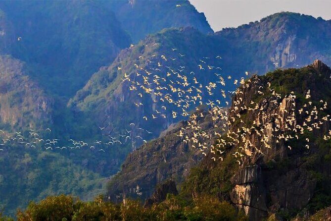 Hoa Lu - Van Long Nature Reserve Day Tour with cycling tour - Who Will Love This Tour?