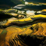 HOANG SU PHI - DONG VAN - MA PI LENG PASS 5 DAYS 6 NIGHTS - Transportation, Accommodation, and Value