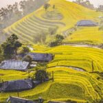 Hoang Su Phi Trekking Tour 3 days 2 nights - Why This Tour Is Worth It
