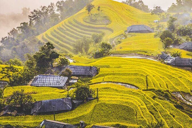 Hoang Su Phi Trekking Tour 3 days 2 nights - Why This Tour Is Worth It