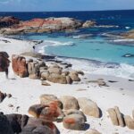 Hobart: 4 Day Wild Tasmania Tour - The Value of This Tour