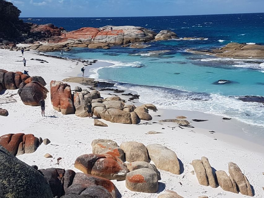 Hobart: 4 Day Wild Tasmania Tour - The Value of This Tour