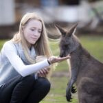 Hobart: Admission Ticket to Bonorong Wildlife Sanctuary - An Authentic Encounter with Tasmania’s Wildlife