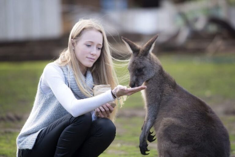 Hobart: Admission Ticket to Bonorong Wildlife Sanctuary - An Authentic Encounter with Tasmania’s Wildlife
