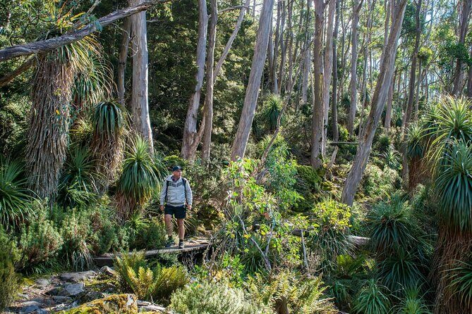 Hobart Adventurer Day Tour | Amazing Views & Native Wildlife - Authentic Experiences and What Travelers Say