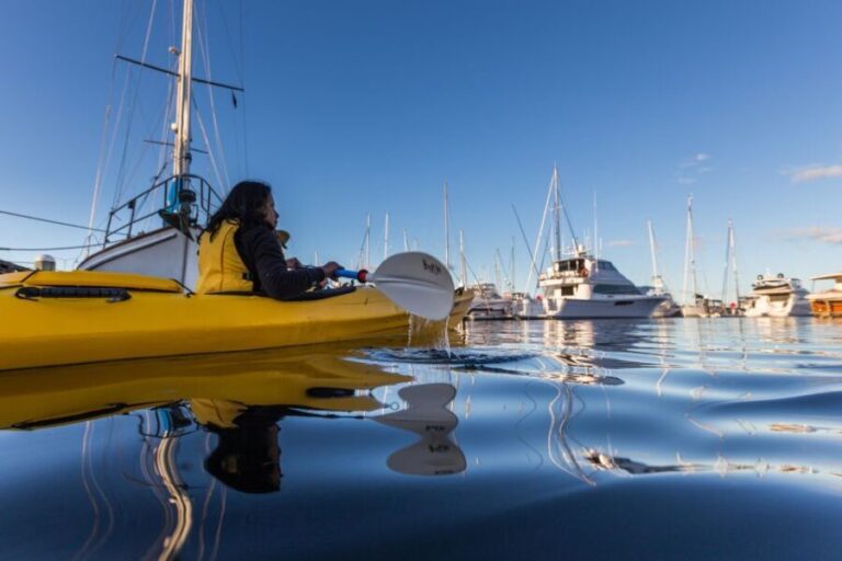 Hobart City 2.5-Hour Kayak Tour - Final Thoughts