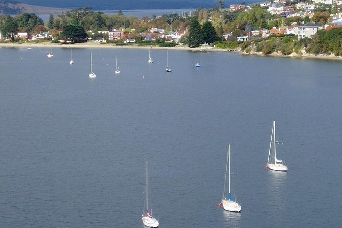 Hobart City Flight Including Mt Wellington and Derwent River - Who Will Love This Tour?