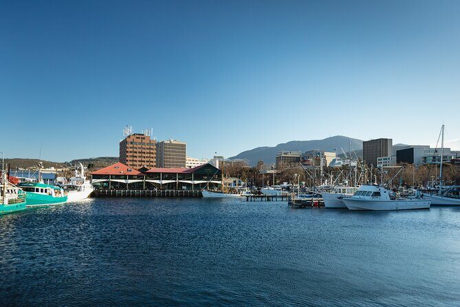 Hobart City Sightseeing Tour including MONA Admission - FAQ