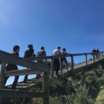Hobart: Day Trip to Mt Wellington and MONA with Ferry Ride - An In-Depth Look Into the Experience