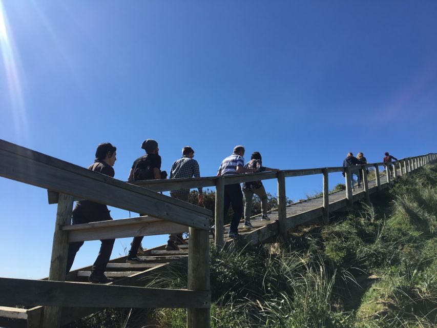 Hobart: Day Trip to Mt Wellington and MONA with Ferry Ride - An In-Depth Look Into the Experience