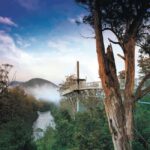 Hobart: Hastings Cave, Tahune Airwalk and Huon Tasting Trail - Pricing and Value