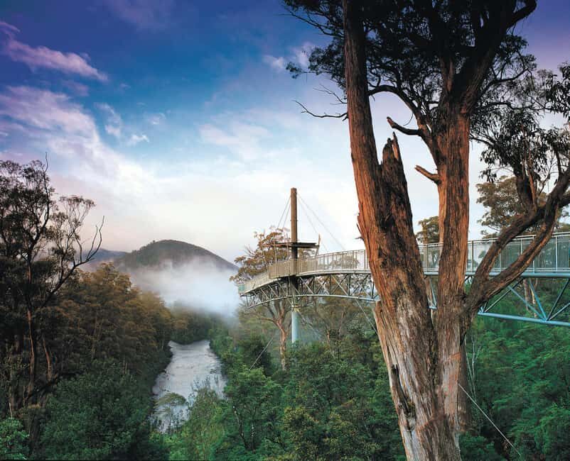 Hobart: Hastings Cave, Tahune Airwalk and Huon Tasting Trail - Pricing and Value