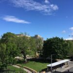 Hobart History, People & Places - 2 hour city walk - Why This Tour Likely Fits Your Travel Style
