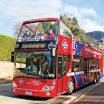 Hobart Hop-On Hop-Off Bus & kunanyi/Mt Wellington Tour - The Sum Up: Who Is This Tour Best For?