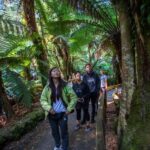 Hobart: Mt Field National Park & Wildlife Shore Excursion - The Tall Trees Trail: A Towering Display of Nature