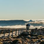 Hobart: Mt Wellington, Mt Field, Bonorong and Richmond Trip - The Experience: Authentic, Engaging, and Educational