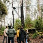 Hobart: Port Arthur, Bruny, Hastings, and Tahune 4-Day Trip - The Practicalities: What You Need to Know