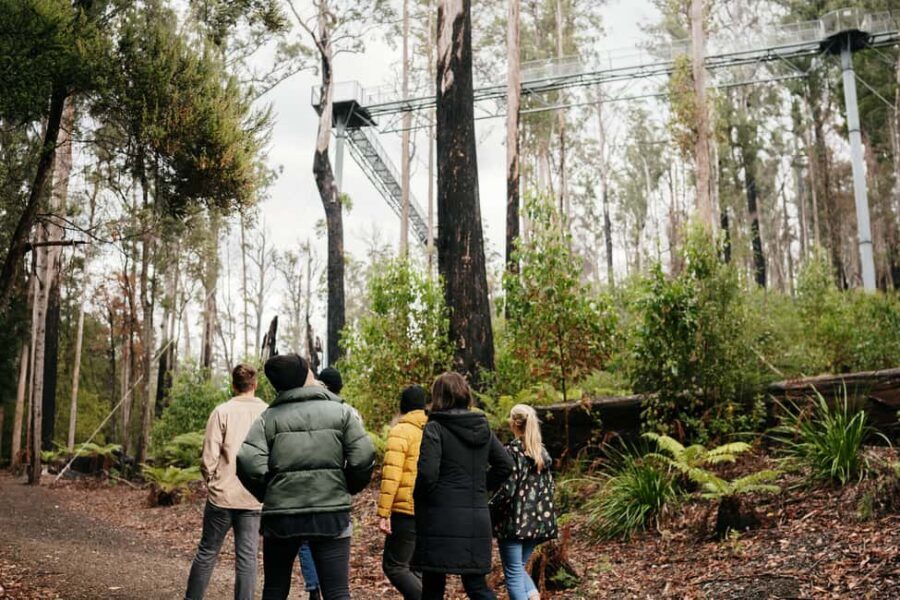 Hobart: Port Arthur, Bruny, Hastings, and Tahune 4-Day Trip - The Practicalities: What You Need to Know