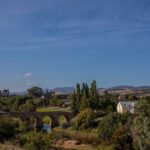 Hobart: Port Arthur, Richmond & Tassie Devil - Active Tour - Benefits and Drawbacks