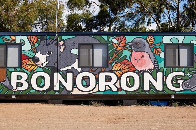 Hobart Shore Excursion: Bonorong Bus - The Experience at Bonorong: Interactions and Insights
