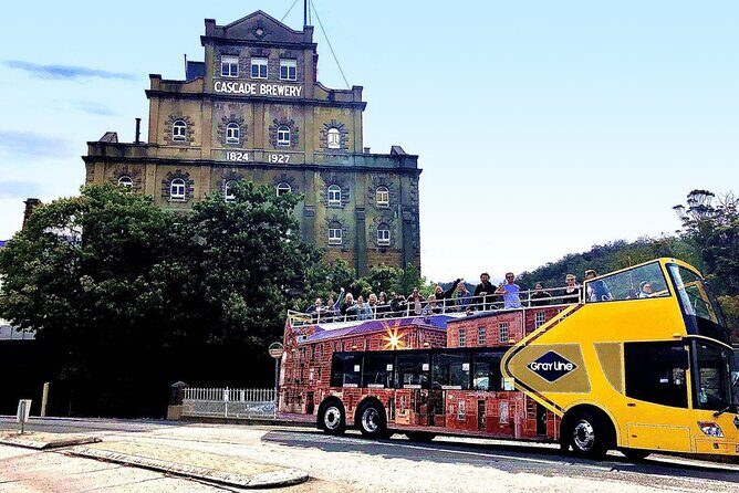 Hobart Shore Excursion- Open Top City Explorer Tour 9.30am - What the experience really offers