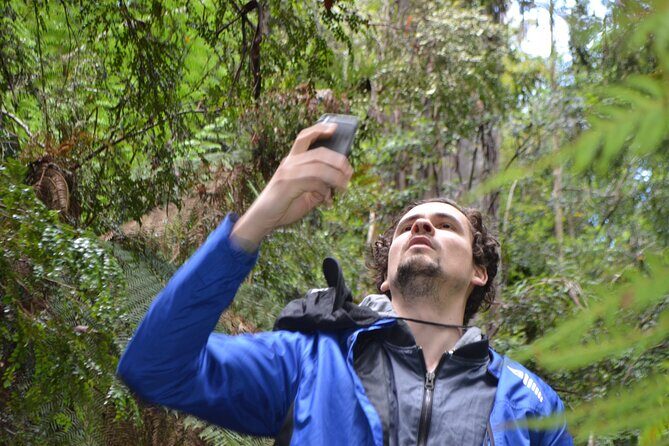 Hobart Shore Excursion Private Tour - Who Will Love This Tour?