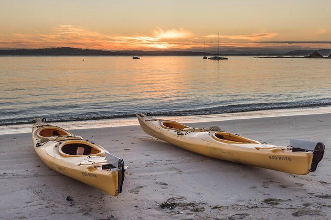 Hobart's Cliffs, Caves and Beaches Kayak Tour - What to Expect on Your Hobart Kayaking Adventure