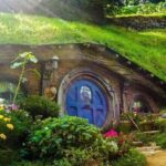Hobbiton Movie Set and Waitomo Caves Exclusive (1-6 traveler) - The Magic of Waitomo Caves