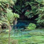 Hobbiton Movie Set & Blue Springs: Private Tour from Auckland - Why This Tour Offers Great Value