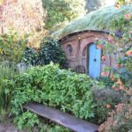 Hobbiton Movie Set day tour From Auckland - The Hobbiton Set Tour