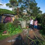 Hobbiton Movie Set & Te Puia Geothermal Valley Private Tour - Journeying to Te Puia Geothermal Valley