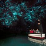 Hobbiton Movie set & Waitomo Caves Small Group Tour From Auckland - The Logistics: Comfort and Convenience