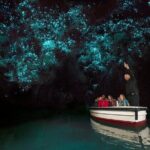 Hobbiton Movie Set & Waitomo Glow Worm Caves Private Tour - The Itinerary in Depth