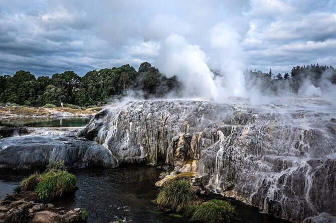 Hobbiton Movie Set with Te Puia Day Tour - Te Puia and the Maori Experience