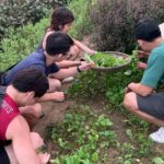 Hoi An Cooking Class at Tra Que Vegetable Village - The Itinerary: From Field to Fork